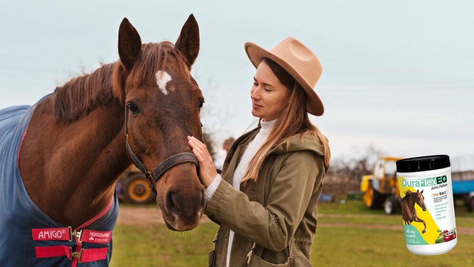 Equestrian Calm: A Guide to Equine Supplements – peta2z