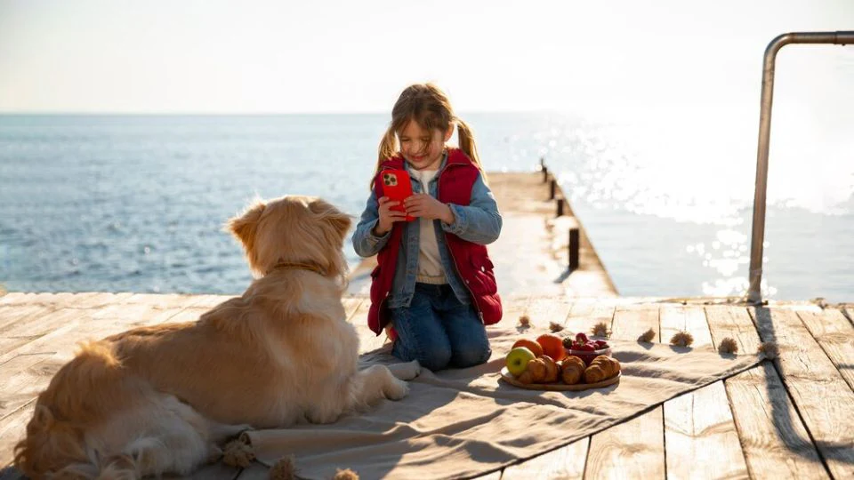 Sun Safety: Protecting Your Pet from UV Ray – peta2z