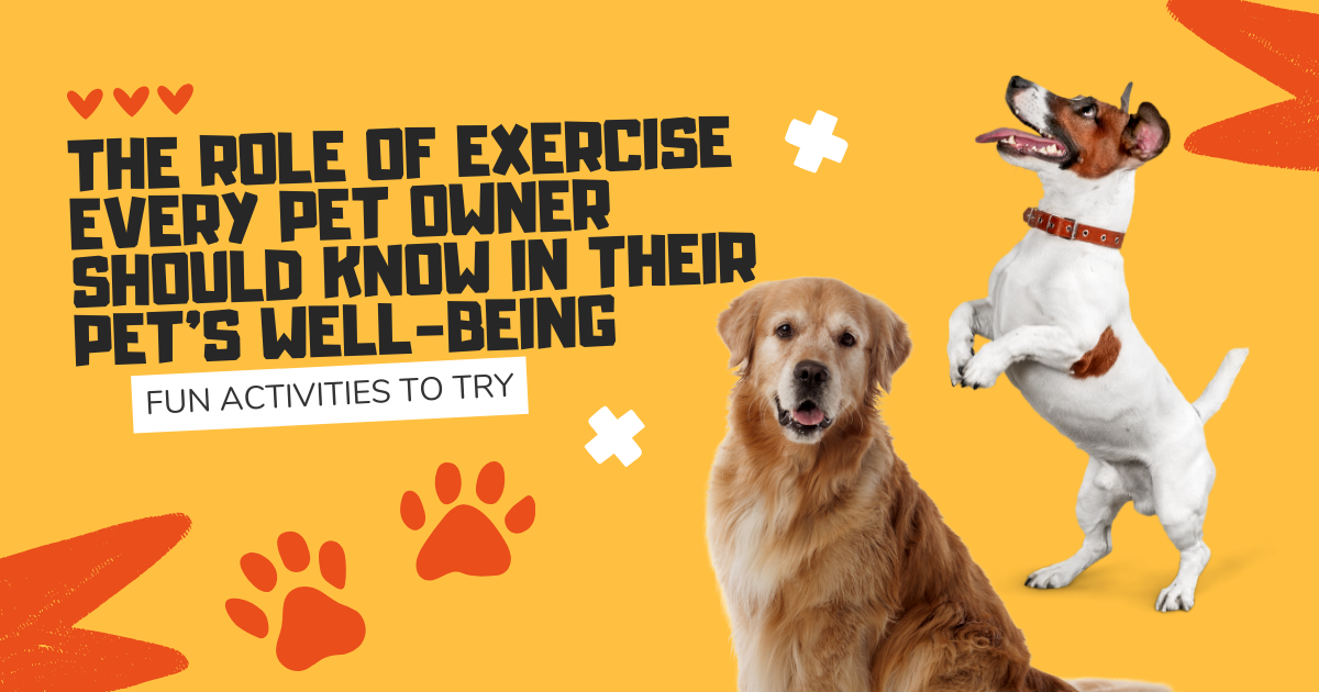 The Role of Exercise Every Pet Owner Should Know in Their Pet's Well-B ...