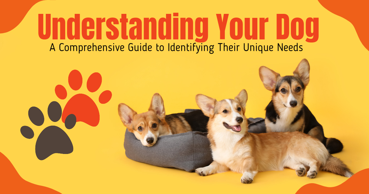 Understanding Your Dog: A Comprehensive Guide to Identifying Their Uni ...